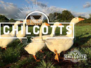 Fresh Local Goose Eggs Laid by Our Geese at Chilcotts Farm